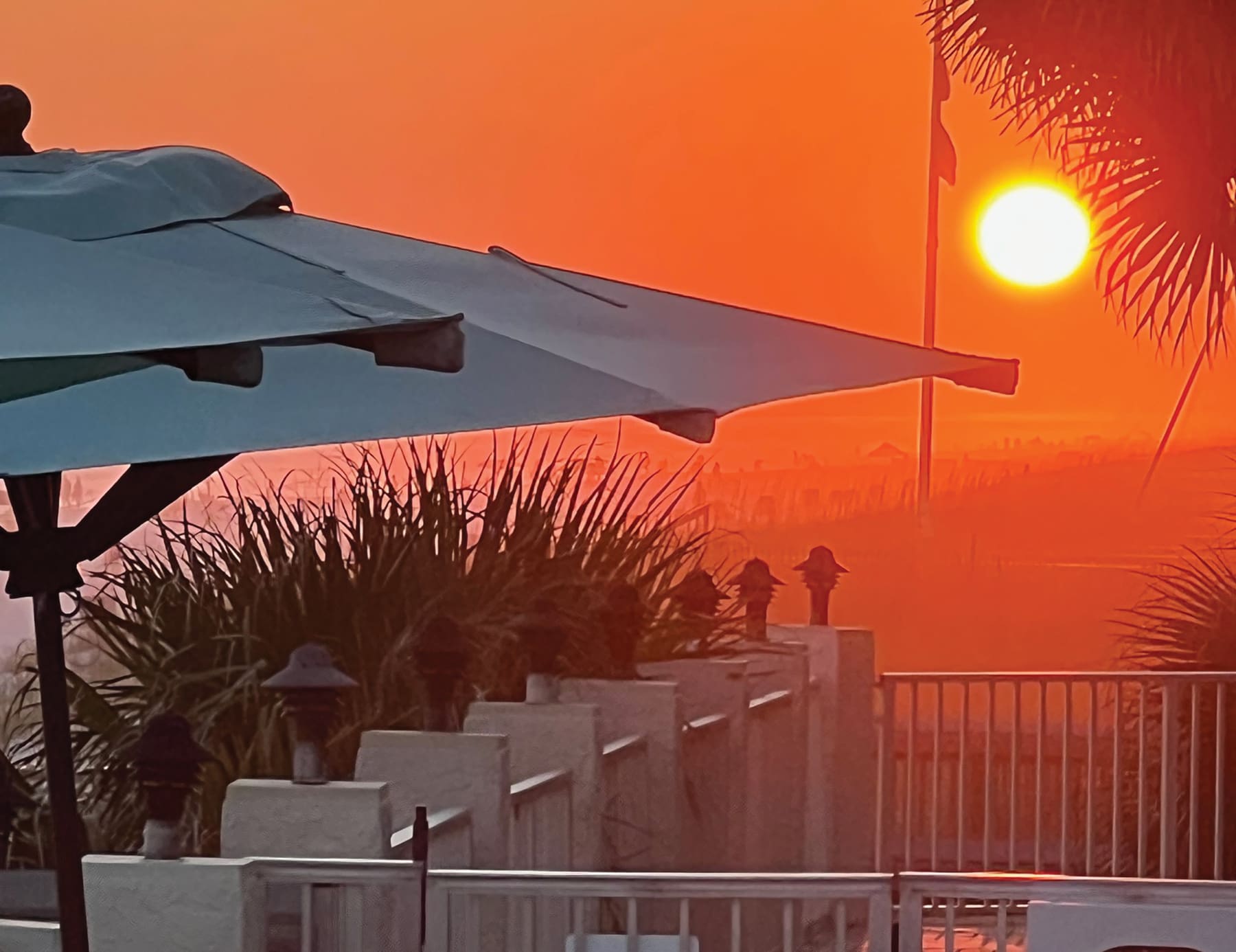 PCB’s Best Kept Secret: The Reef Bar & Grill - PCB Life | Panama City ...